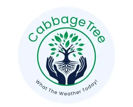 Top Travel Destinations for 2026: Where Weather Makes the Trip Better ...