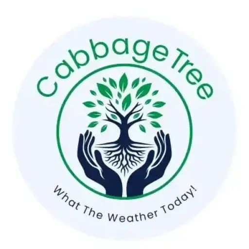 Top Travel Destinations for 2026: Where Weather Makes the Trip Better ...